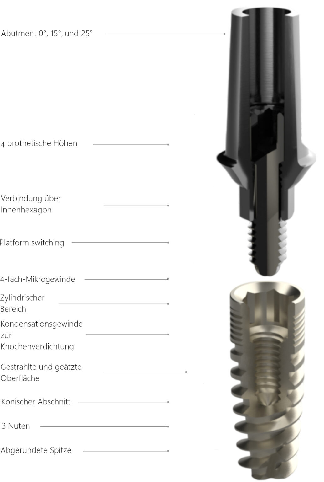 radix | Implants & Biomaterials - Bone Level Implantat